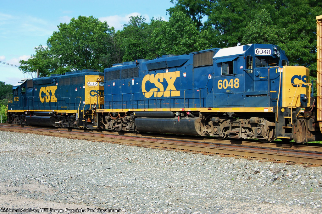 I felt pretty special to be able to capture these two.